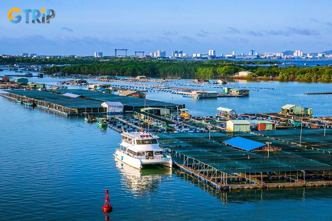 Long Son Island Travel Guide: Best Time to Visit, Things to Do & How to ...