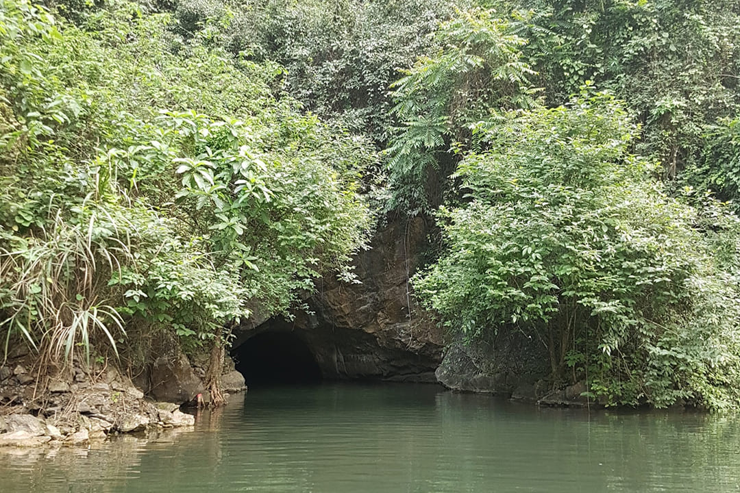 Bright Cave: Features, Things To Do & Utilities In Cave