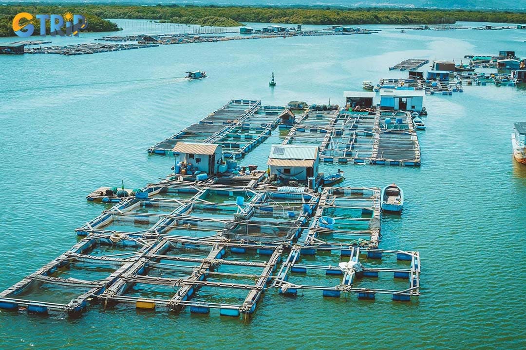 Long Son Island Travel Guide: Best Time to Visit, Things to Do & How to ...