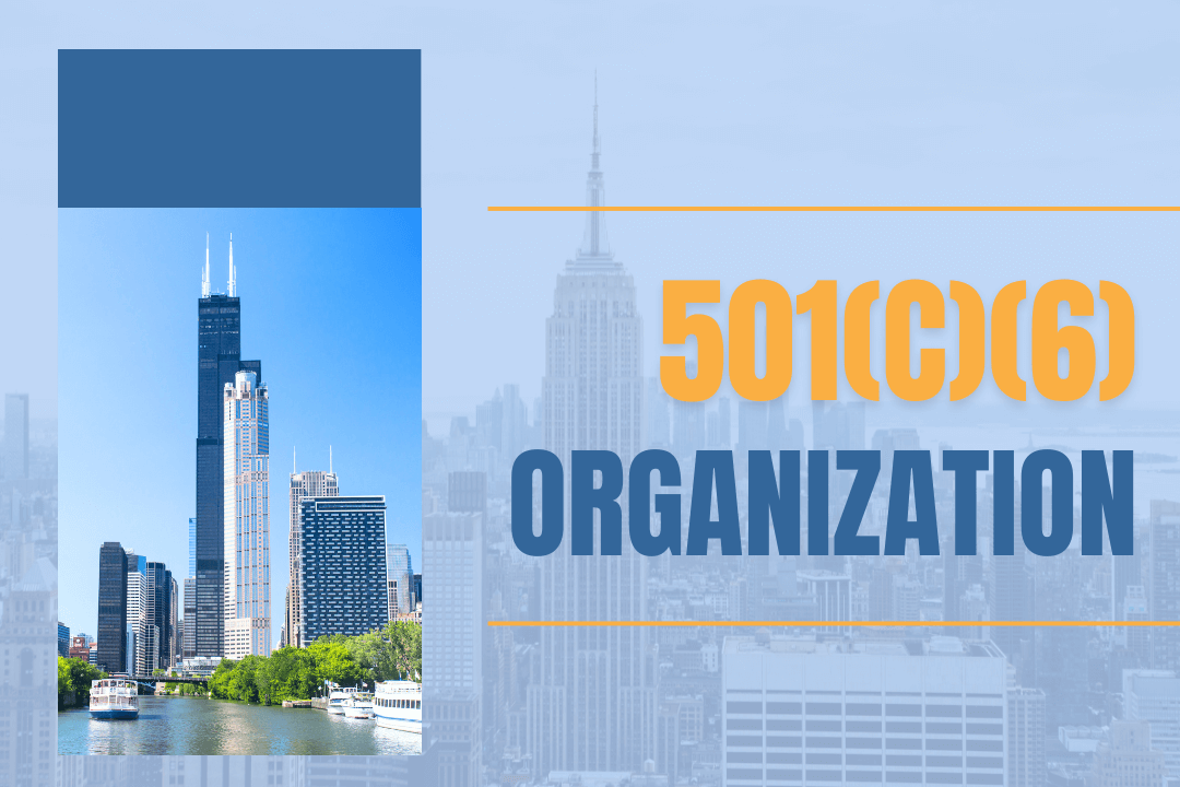 501(c)(6) Organizations: Definition, Benefits, Compliance & Example